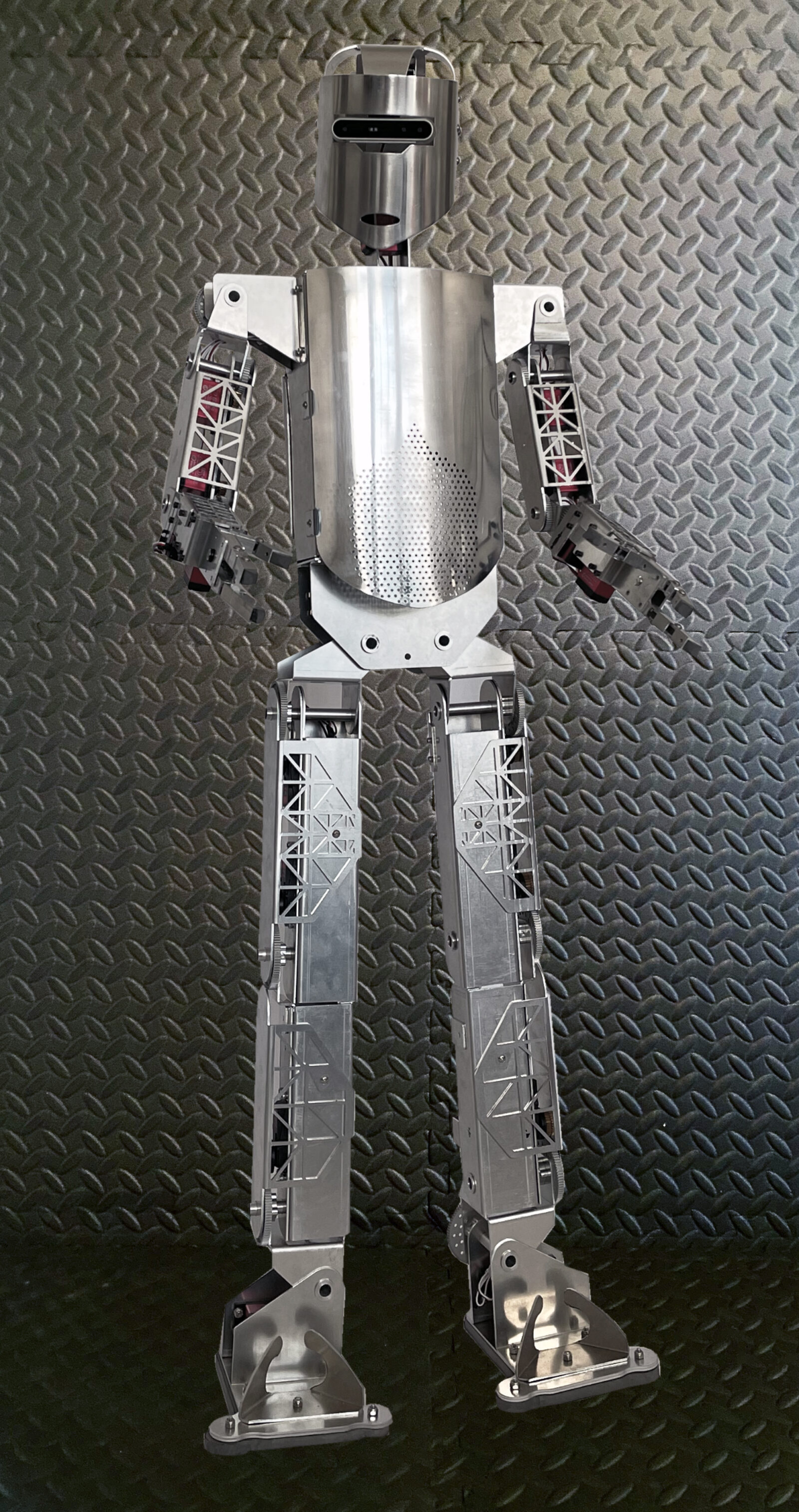 ANIMATRONICS - Humanoid Robotic Framework